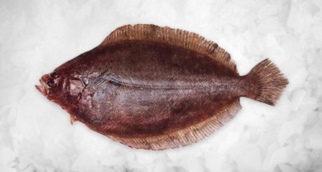 Whole Fish - Bal Fish S.A